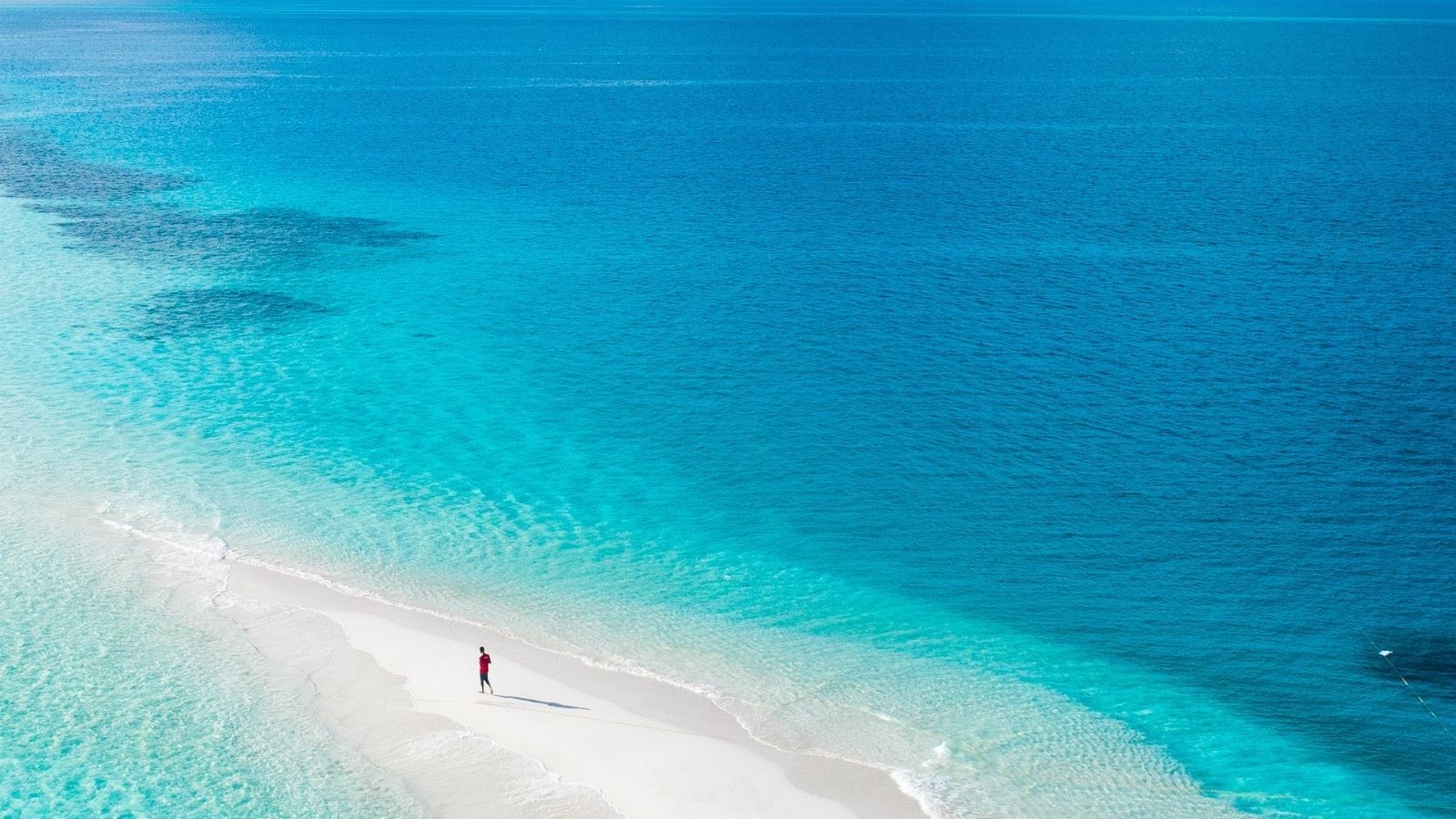 The First Amendment to the Tourism Cross-Subsidisation Regulation - CTL ...